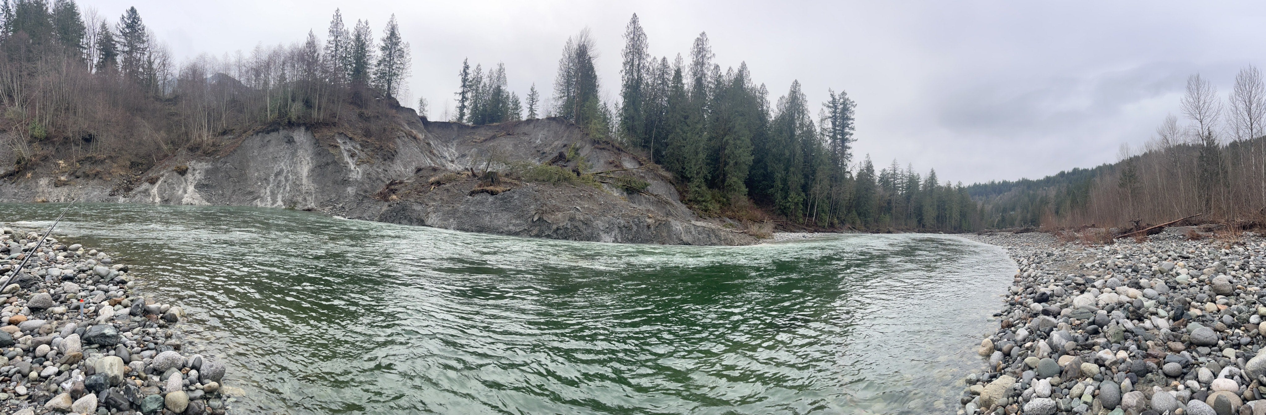 Vedder River Steelhead Season | Fishing Guide