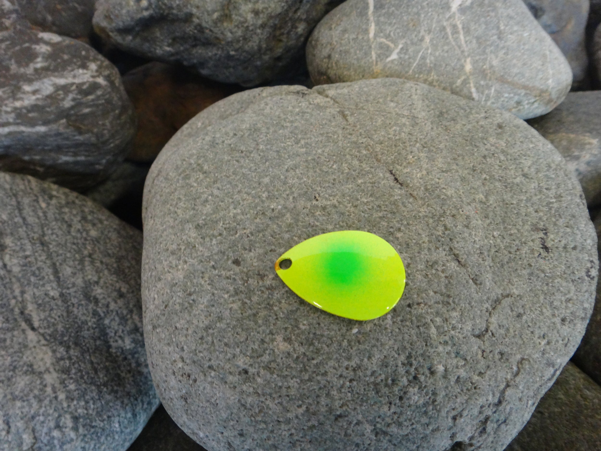 Chart Green Dot Colorado Spinner (5 PACK)